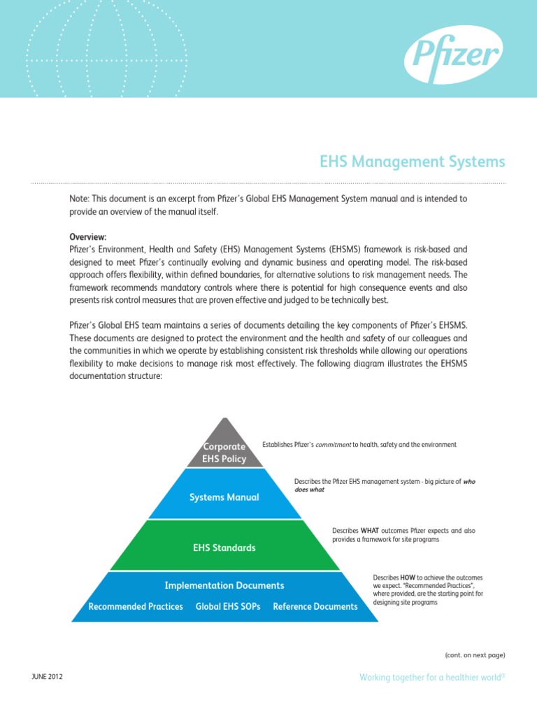 EHS Management Systems | Risk | Occupational Safety And Health
