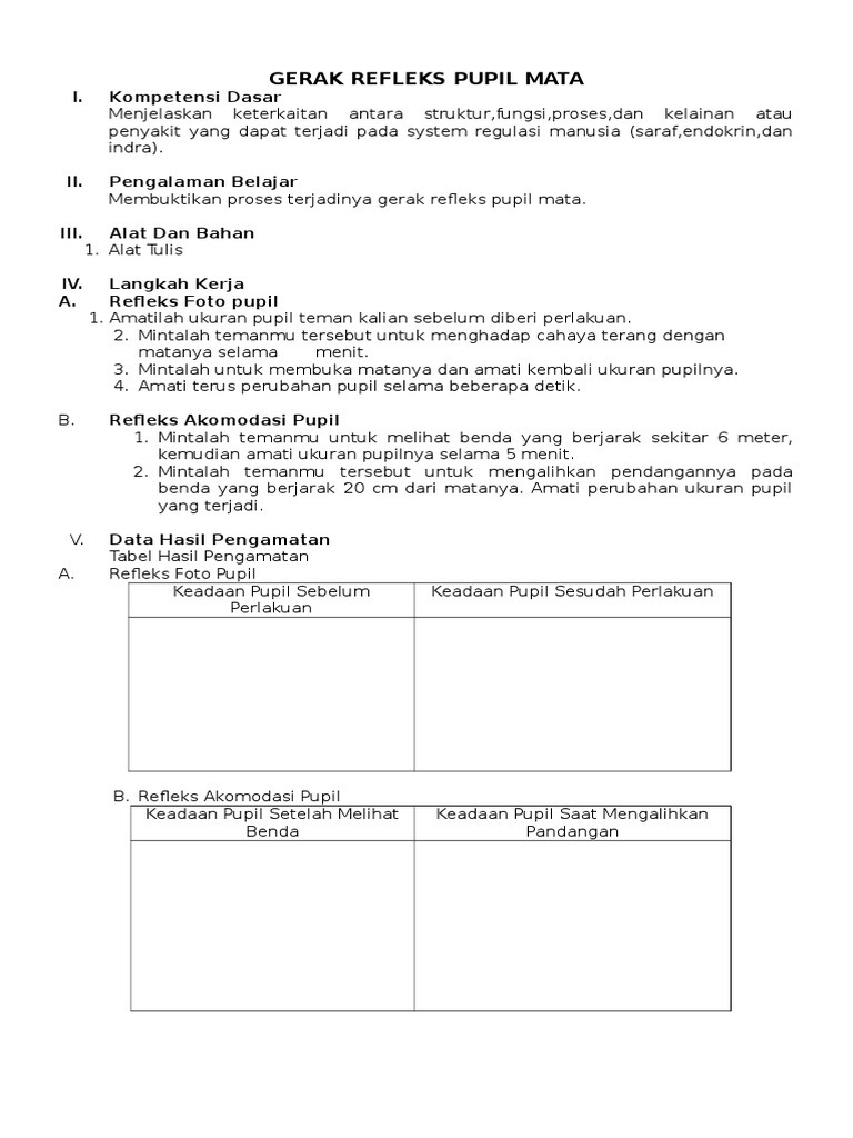 Refleks Pupil dalam Cahaya Minim | PDF