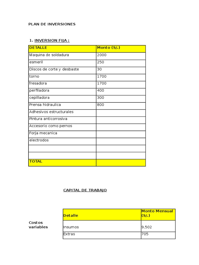 Plan de Inversiones | PDF | Informática | Tecnología