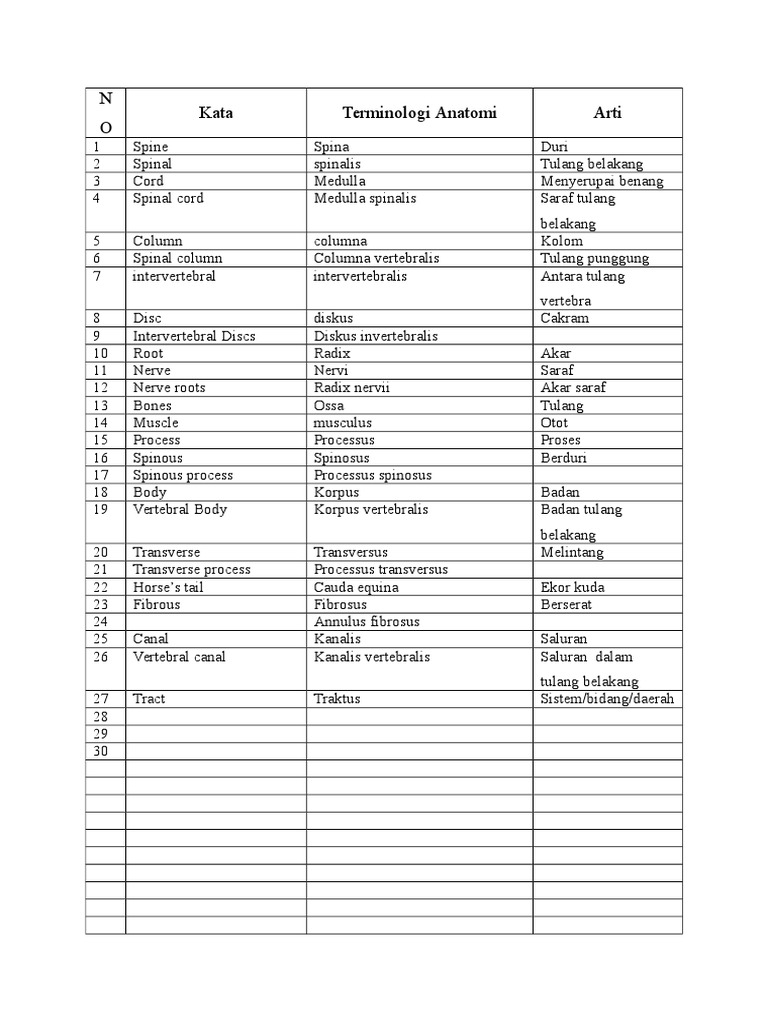 Terminologi Anatomi | PDF