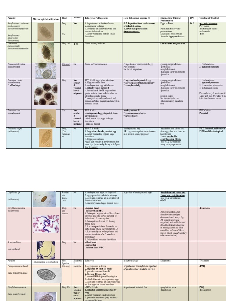 Veterinary Parasites Study Guide | PDF | Veterinary Medicine | Wellness