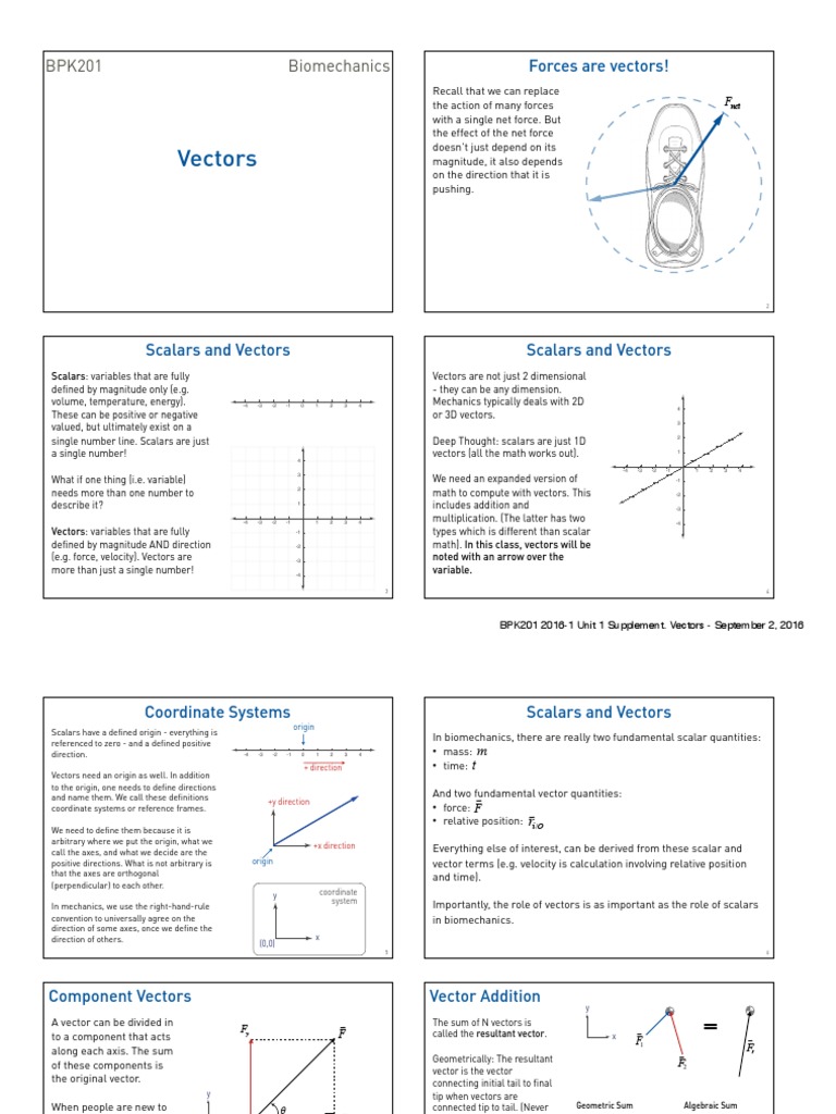 Vectors Operations | PDF | Euclidean Vector | Trigonometric Functions