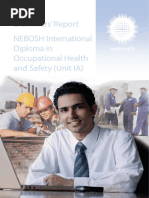 NEBOSH IDip Sample Exam | PDF