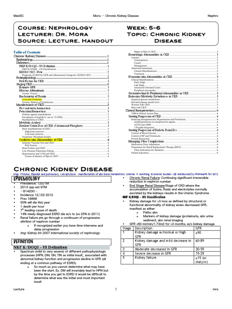 Nephro - CKD | PDF | Chronic Kidney Disease | Renal Function