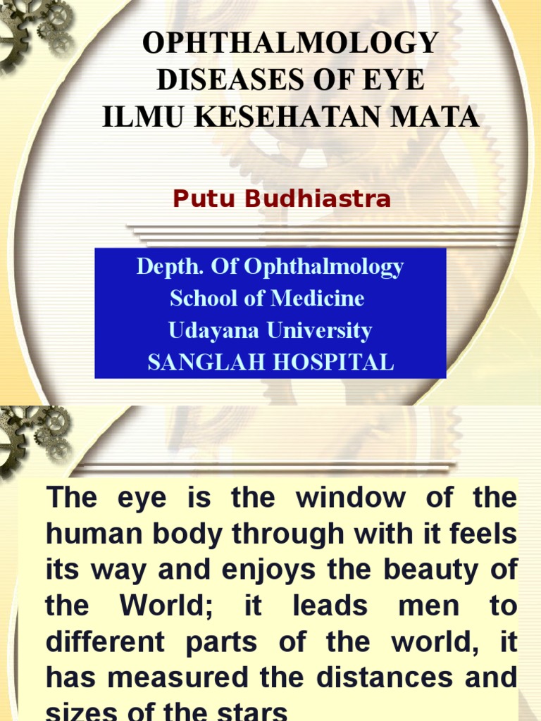 Understanding the Visual System and Common Eye Disorders | PDF | Human ...