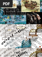 Investagrams Chart Reading Guide | PDF