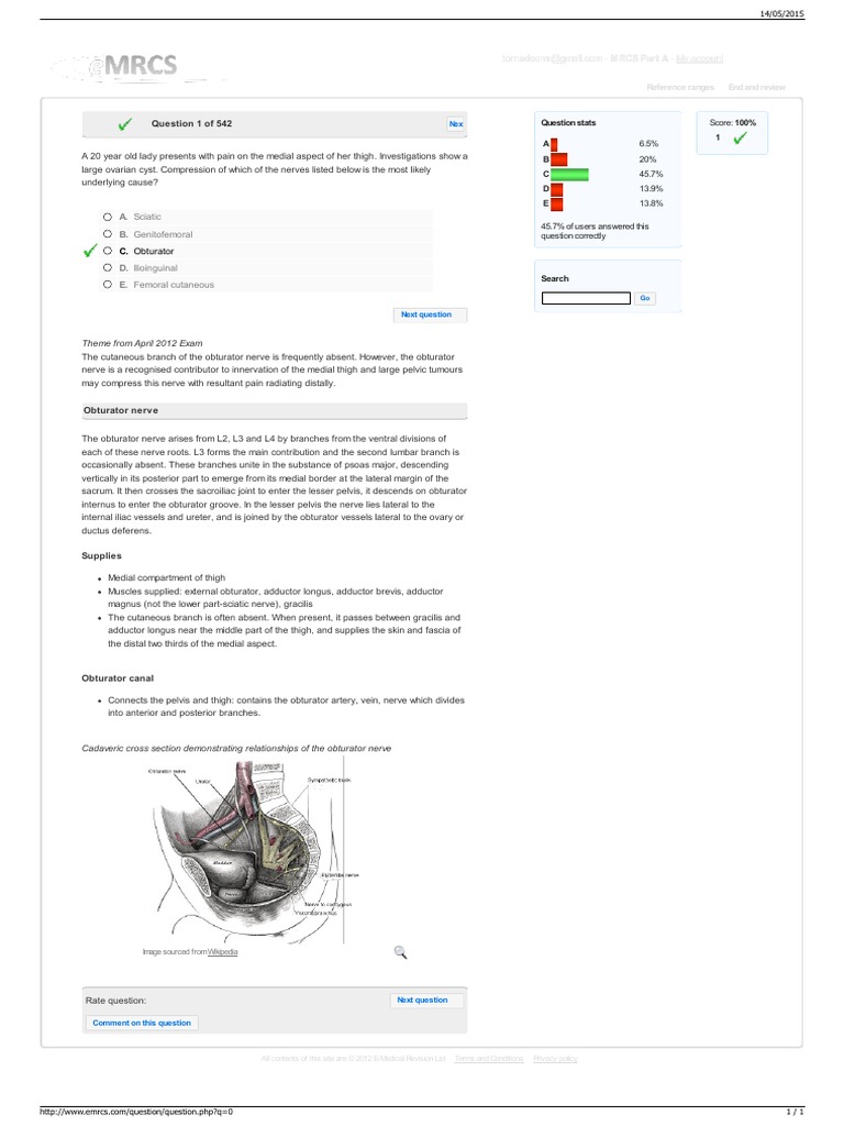 Anatomy Binder | PDF | Larynx | Common Carotid Artery