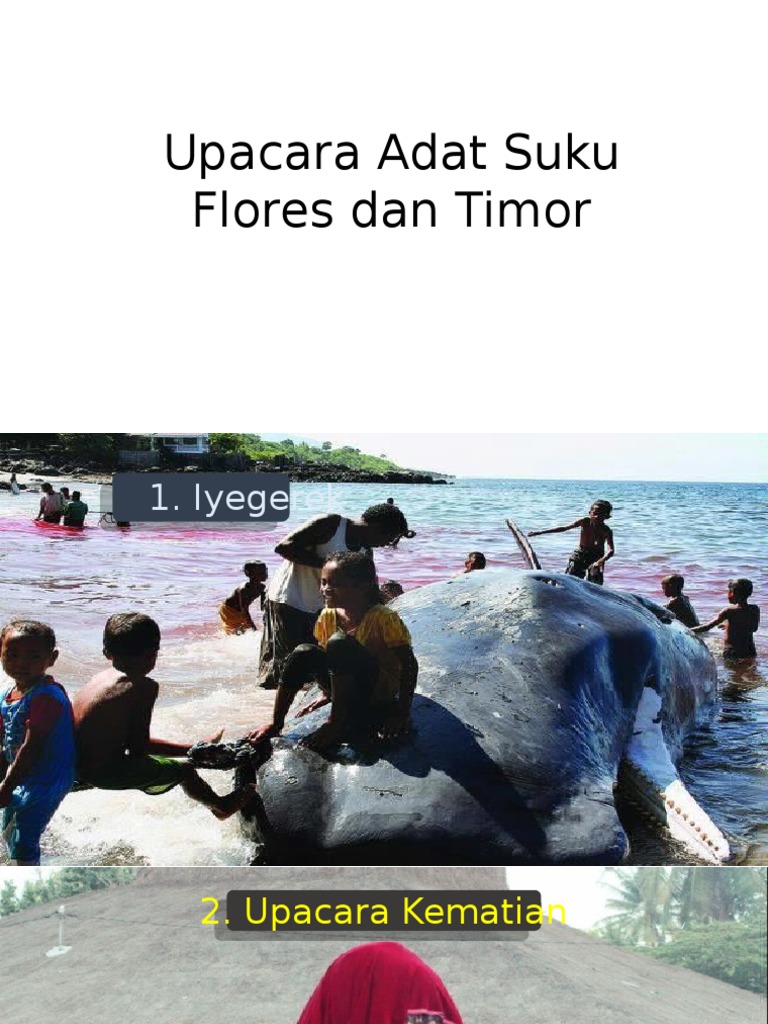 Upacara Adat Suku Flores & Timor | PDF