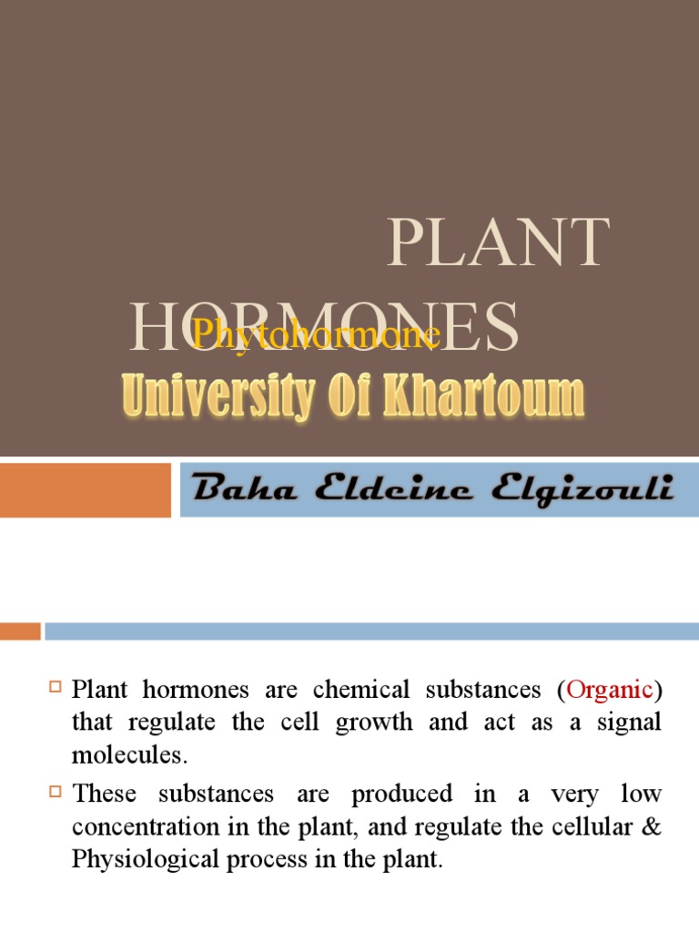 Plant Hormones | PDF | Plant Hormone | Auxin