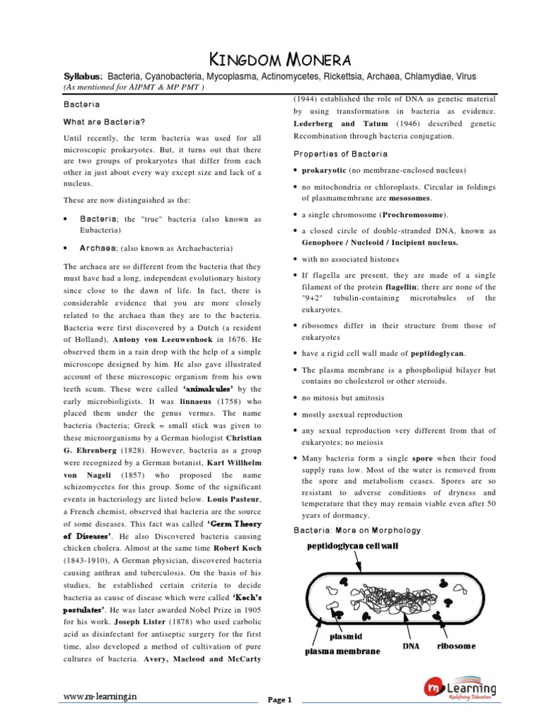 Kingdom Monera | PDF | Bacteria | Bacteriophage