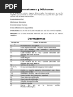 Dermatomas y Miotomas La Inervación Sensitiva Segmentaria | PDF ...