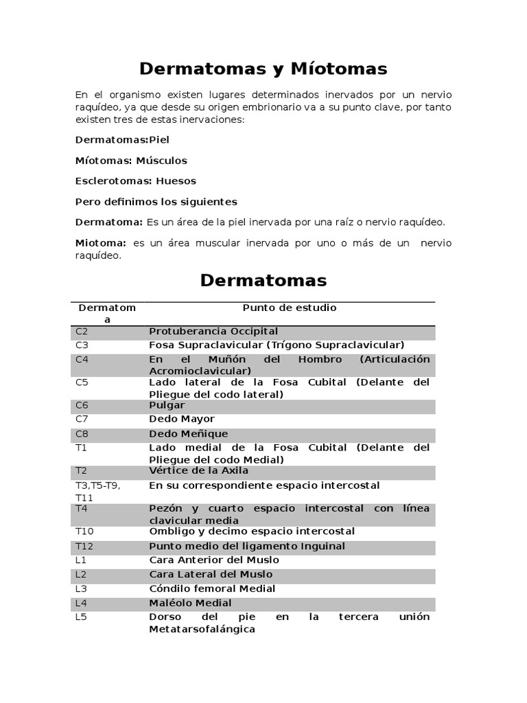 Dermatomas y Míotomas: Guía Completa | PDF | Ciencia y matemáticas