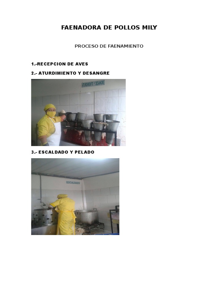Faenadora de Pollos Mily | PDF