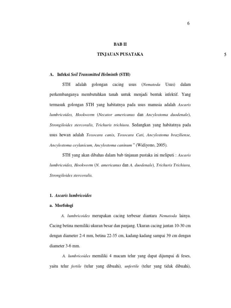 Cacing STH PDF | PDF