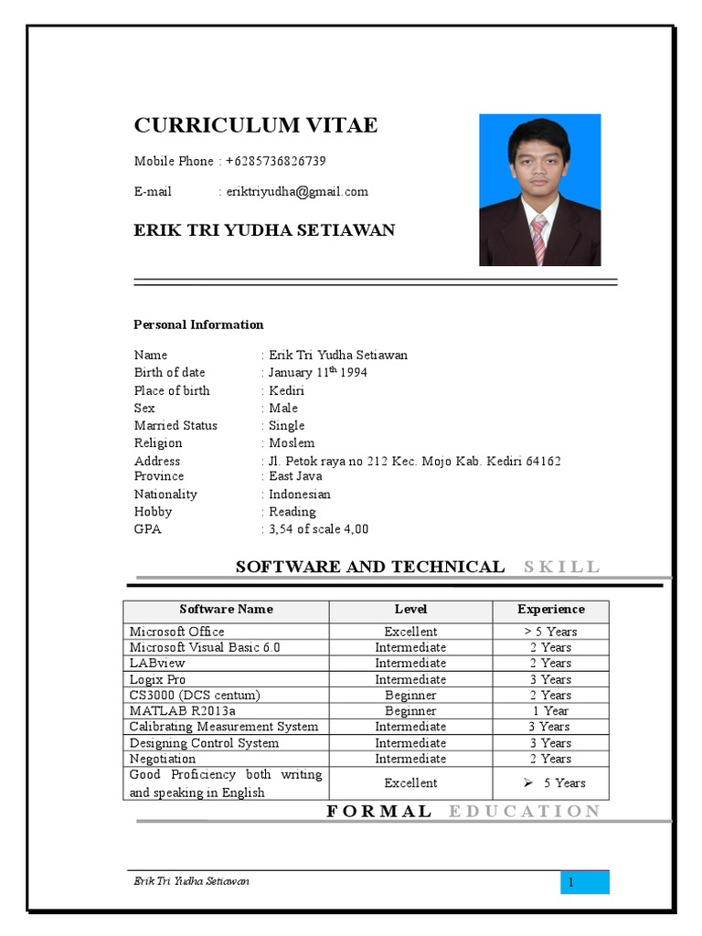 Curriculum Vitae: Erik Tri Yudha Setiawan | PDF | Computing | Software