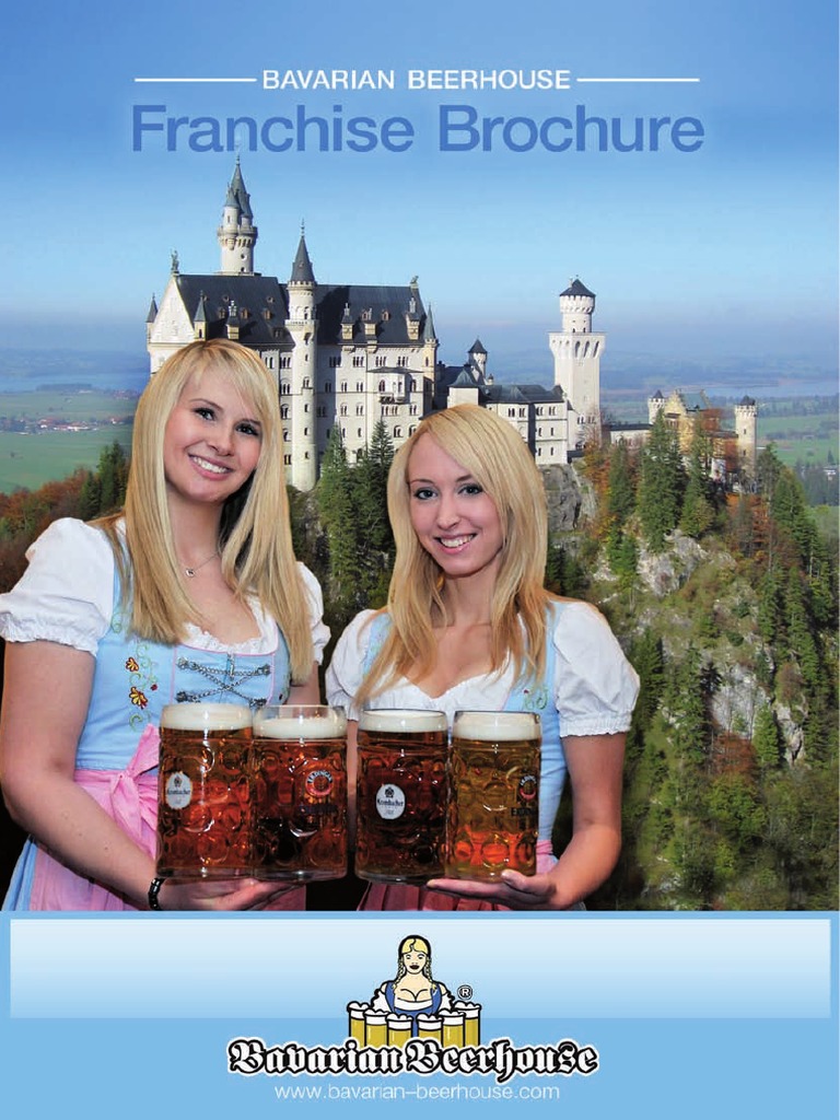 Franchise Brochure | PDF | Franchising | Brand