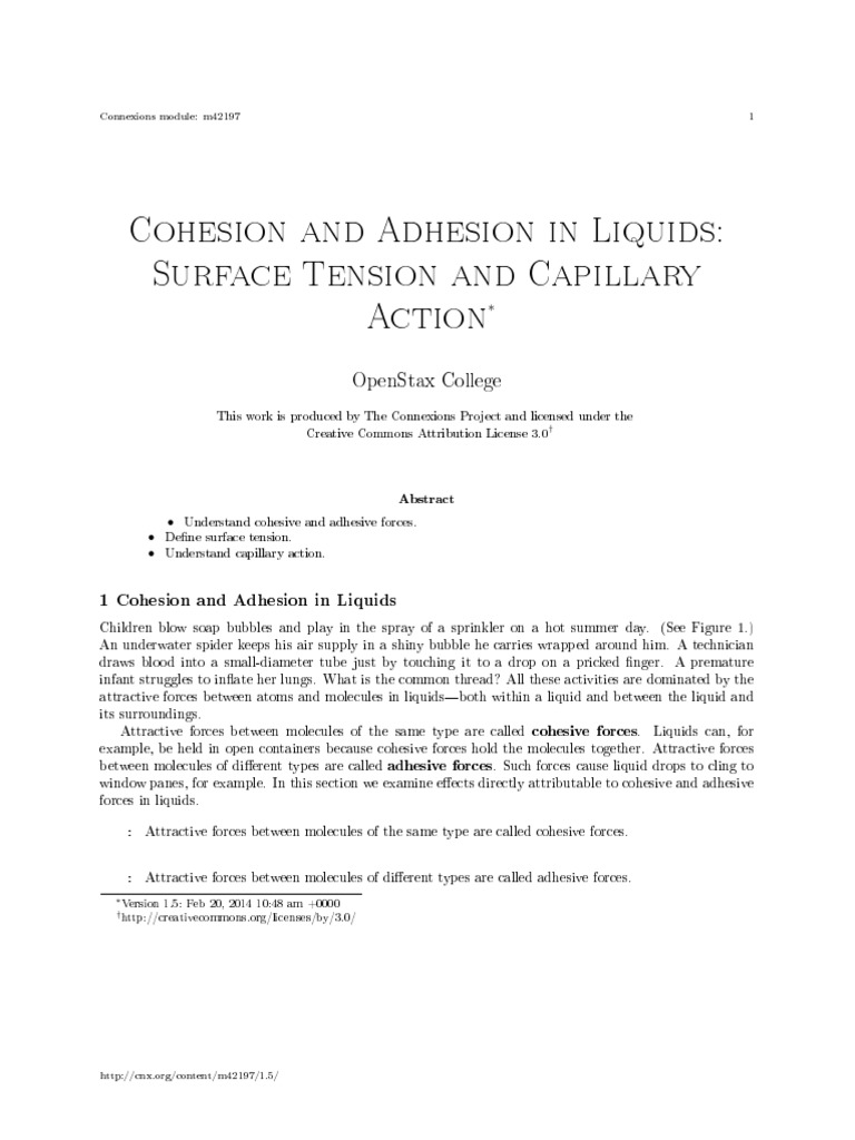 Cohesion and Adhesion in Liquids Surface Tension and Capillary Action 5 ...