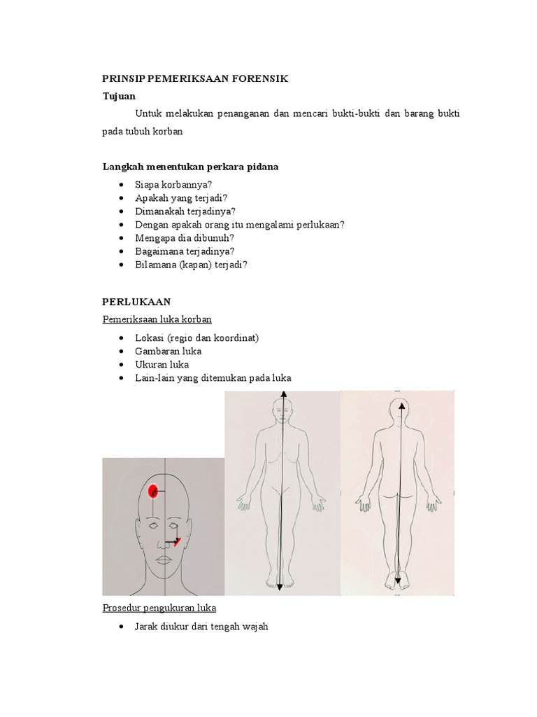 Prinsip Pemeriksaan Forensik | PDF
