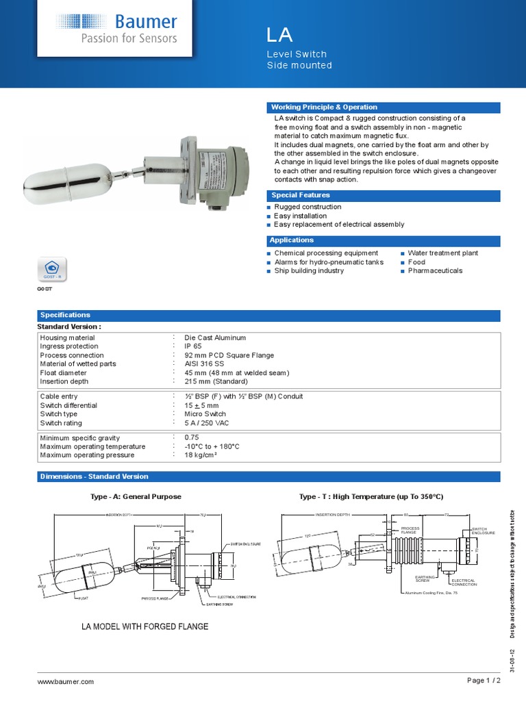 Level Switch Side Mounted | PDF | Switch | Pipe (Fluid Conveyance)