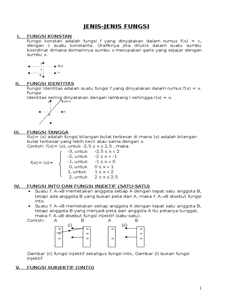 Jenis Jenis Fungsi Matematika | PDF