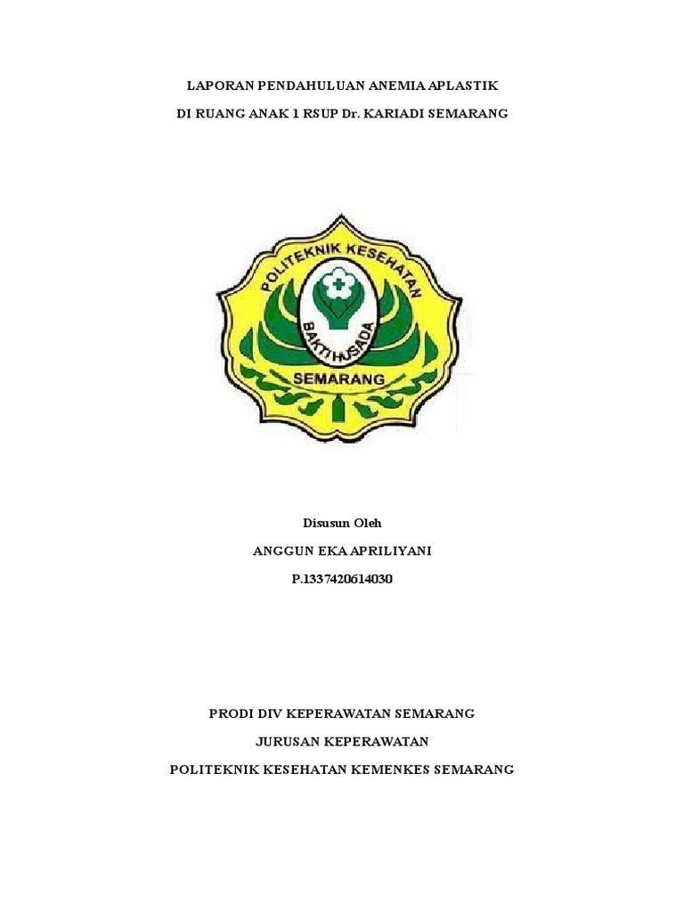LP Anemia Aplastik | PDF