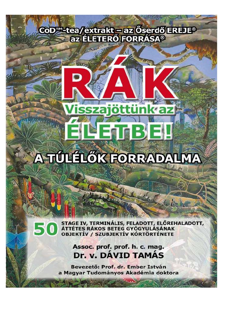 David Tamas A Rak | PDF