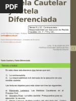 Tipos y significado de contracautela | PDF | Mandato | Ley procesal