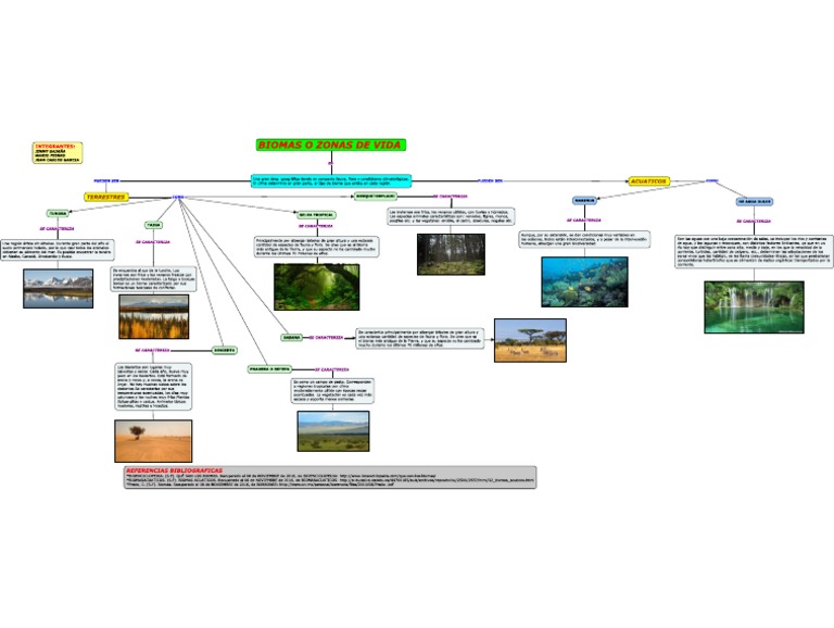 Biomas o Zonas de Vida Ecologia-Mapa Conceptual | PDF