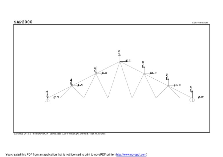 SAP2000 Joint Loads Analysis | PDF