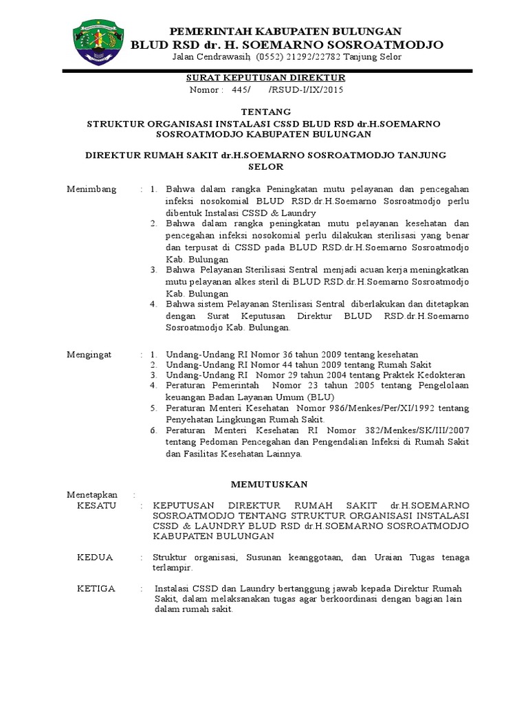 SK CSSD - Organisasi RS | PDF