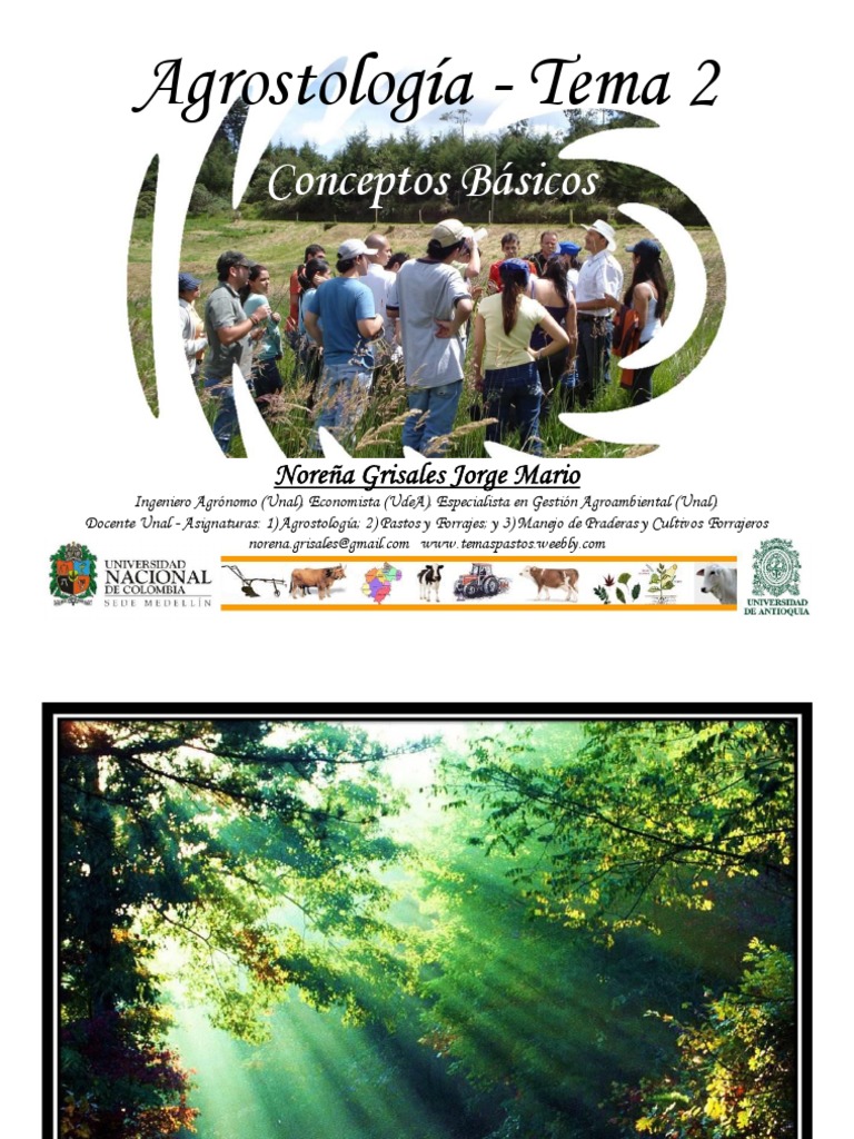 Introducción a la Agrostología | PDF | Botánica | Tallo de la planta