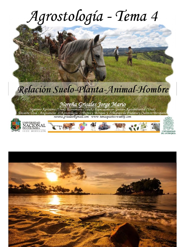 Tema 4 Agrostología - Relación S-Pl-A-H | PDF | Suelo | Aluminio