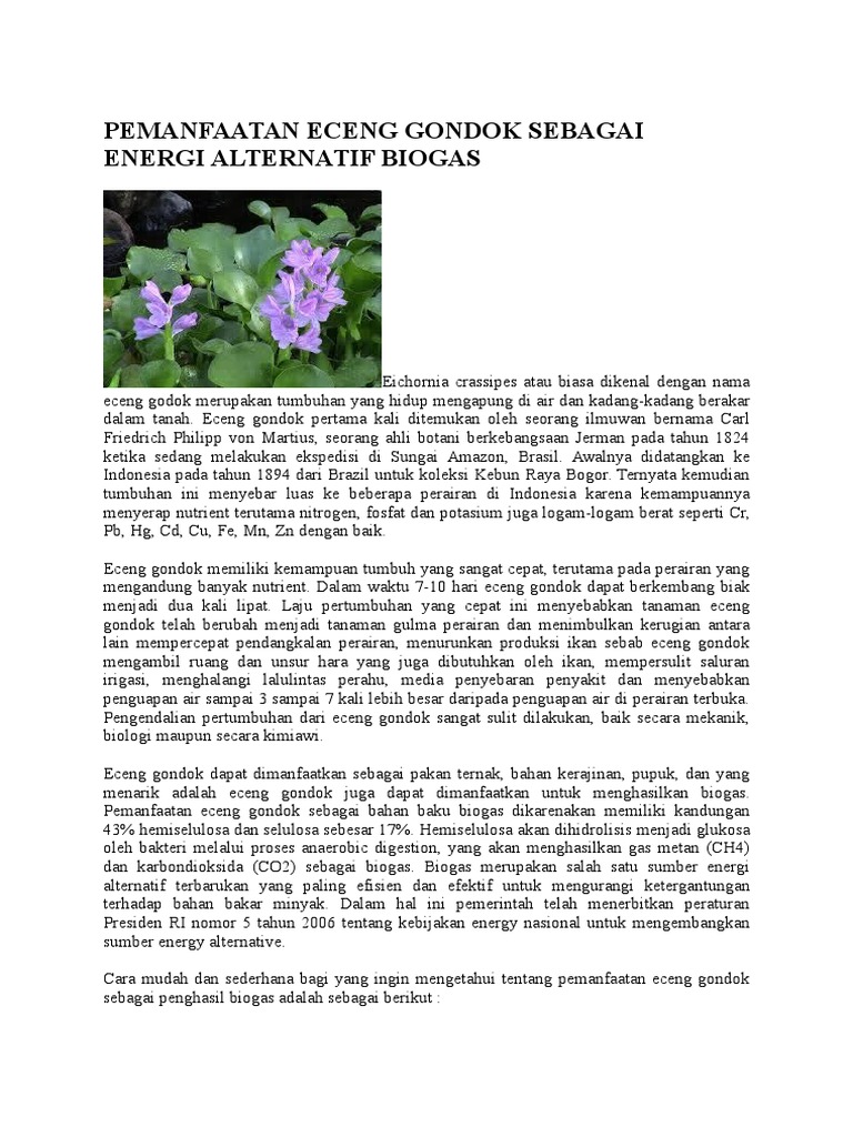 Pemanfaatan Eceng Gondok Sebagai Energi Alternatif Biogas | PDF