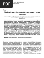 Julián Banzón: Pioneer of Biodiesel | PDF