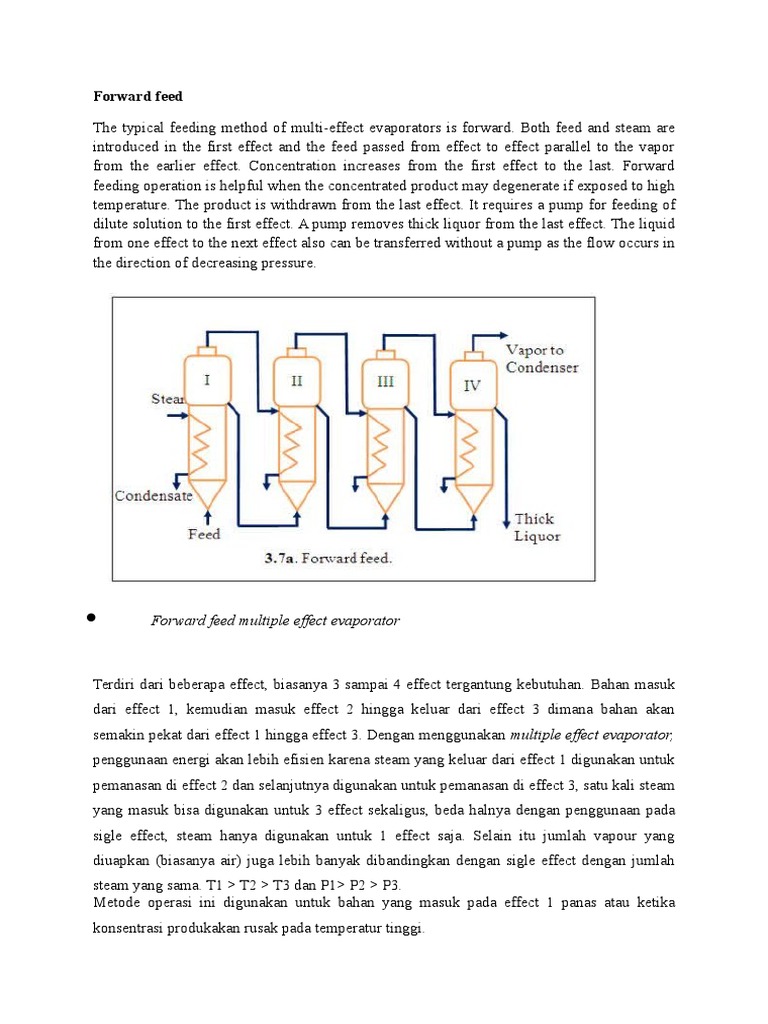 Forward Feed | PDF