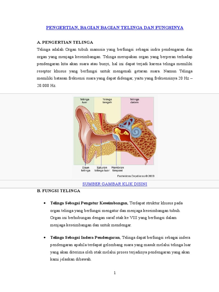 Bagian Indra Pendengaran | PDF