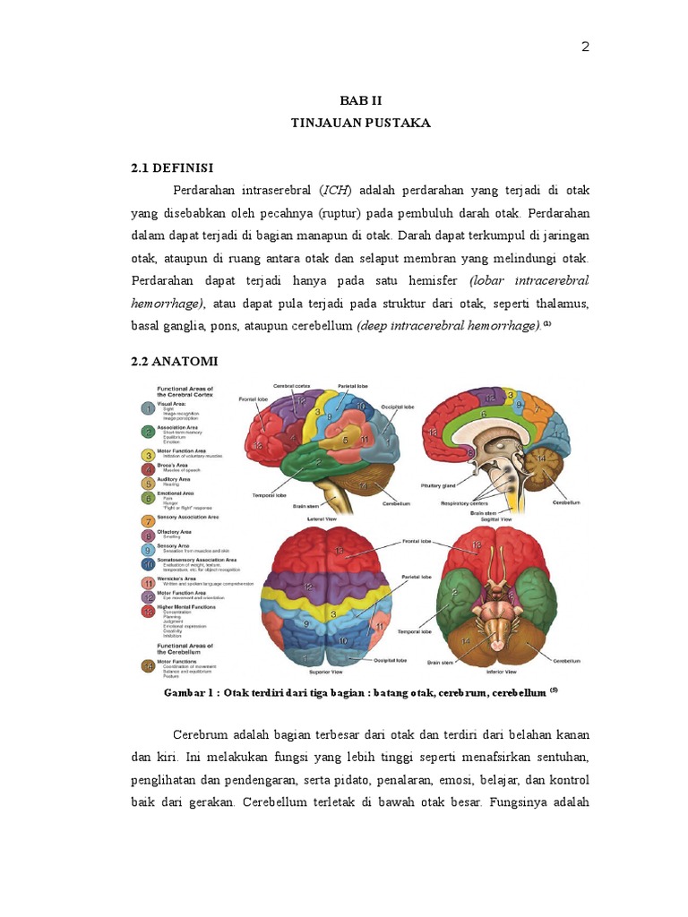 Perdarahan Intraserebral dan Gejalanya | PDF