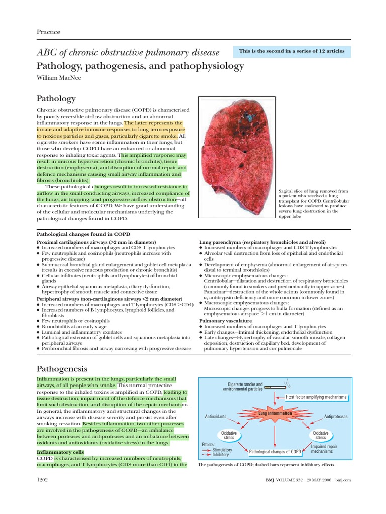 ABC of Chronic Obstructive Pulmonary Disease Pathology, Pathogenesis ...
