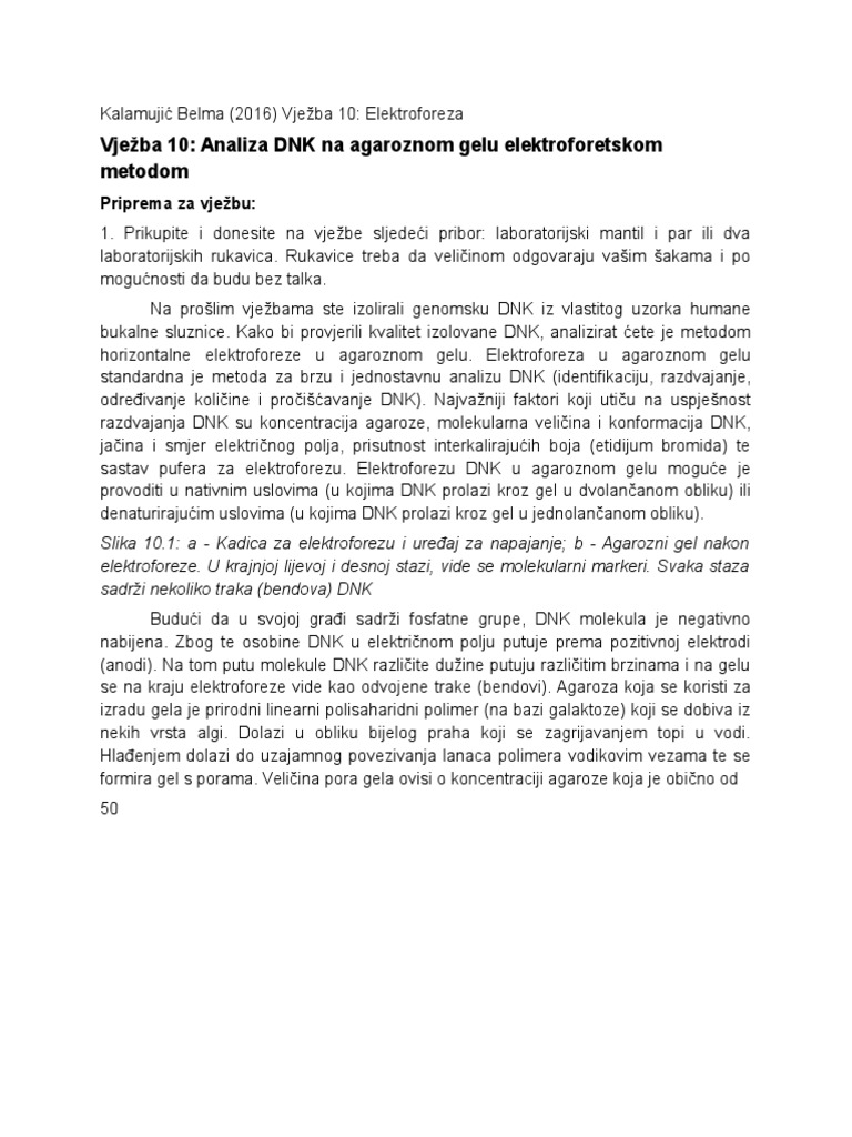 Vjezba10 Elektroforeza PDF | PDF