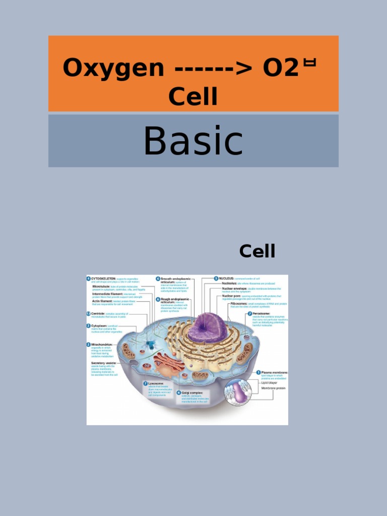 Oxygen - O2 Cell: Basic | PDF