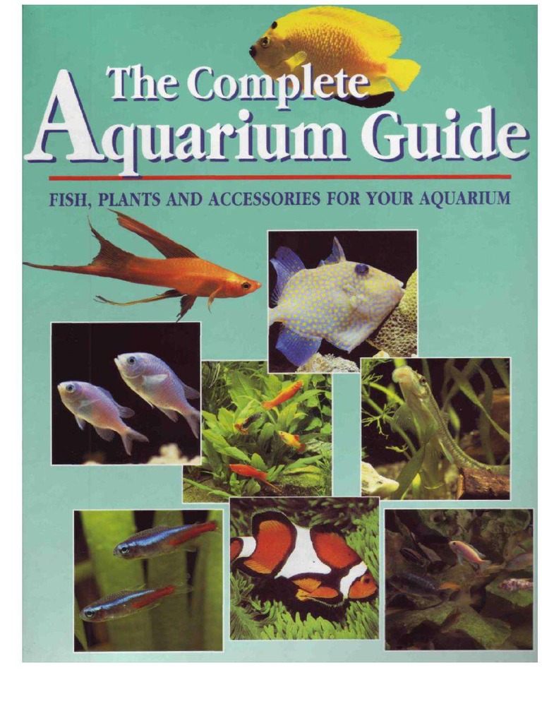 Aquarium | PDF