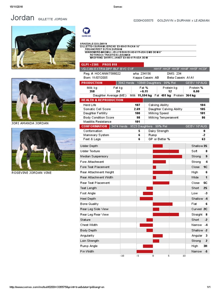 Jordan Ficha Tecnica Semex | PDF