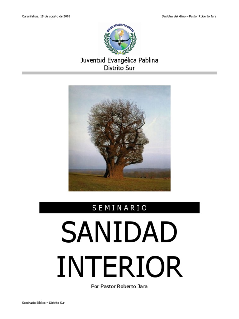 Sanidad Interior | PDF | Alma | David