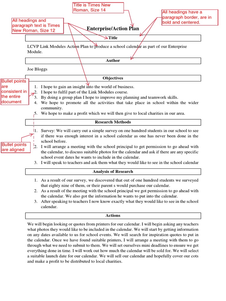 Enterprise Action Plan | PDF | Profit (Economics) | Economies