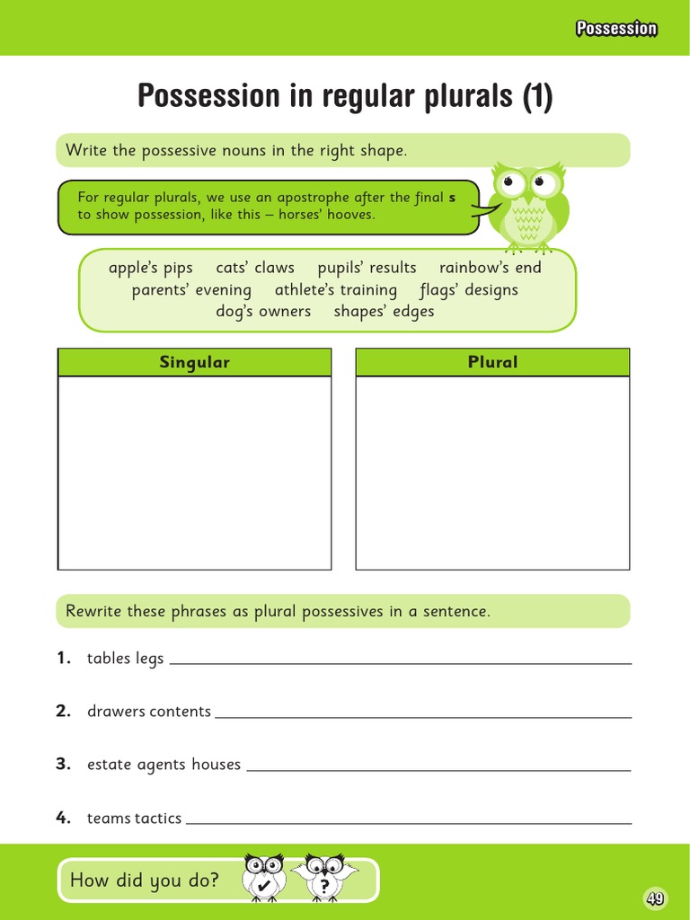 Possession in Regular Plurals (1) : Singular Plural | PDF