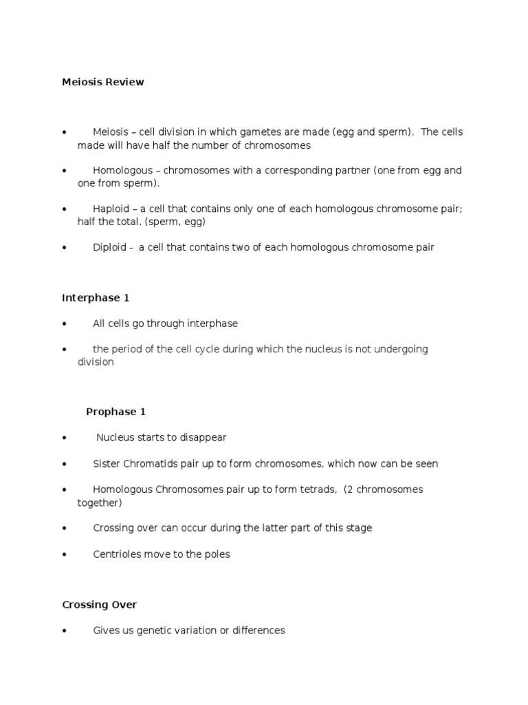 Meiosis Review | PDF