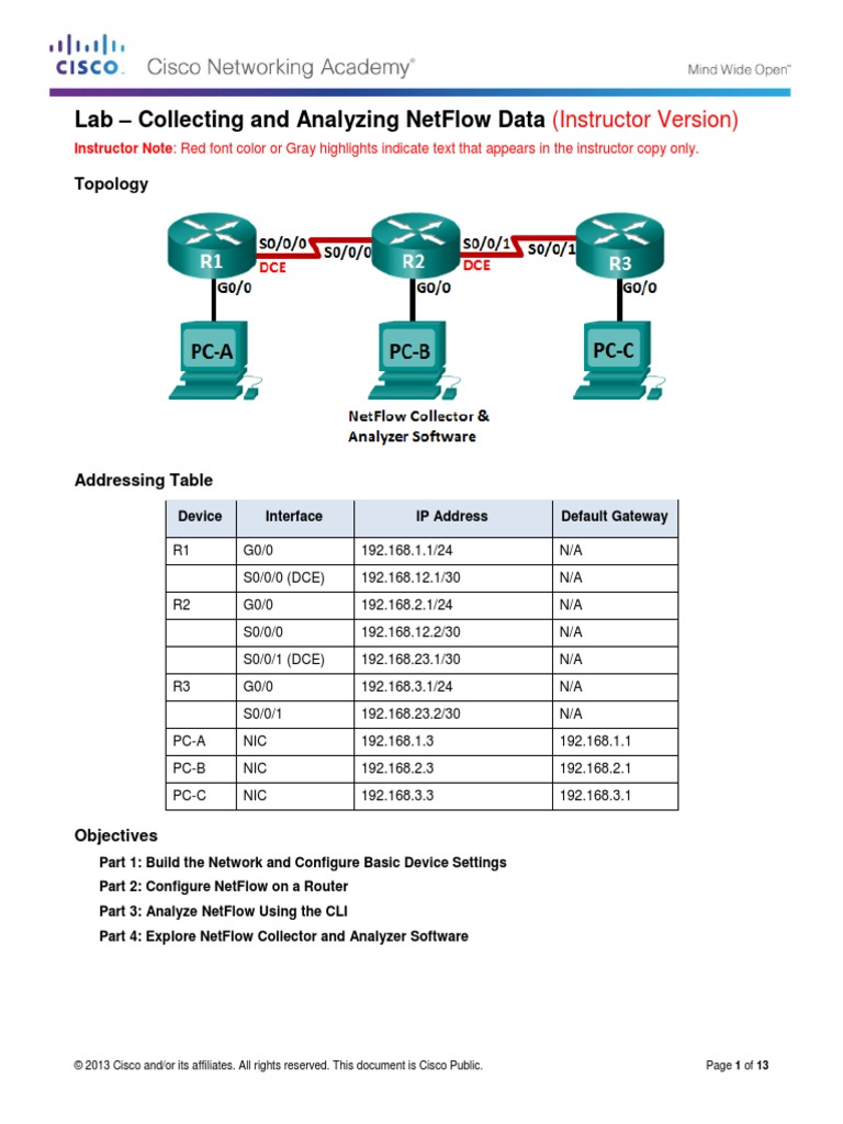 8.3.3.3 Lab - Collecting and Analyzing NetFlow Data - ILM PDF | PDF ...