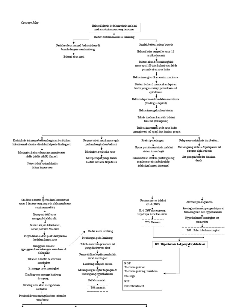 Concept Map DIARE | PDF