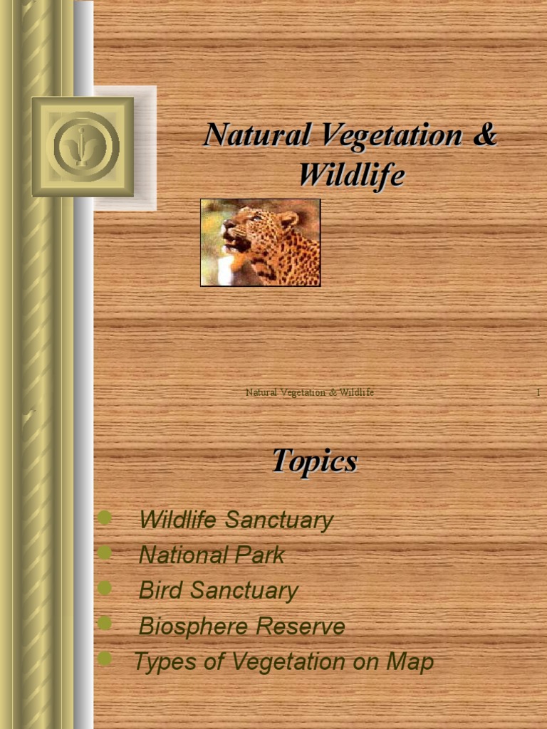 Natural Vegetation & Wildlife | PDF | Wildlife | National Park