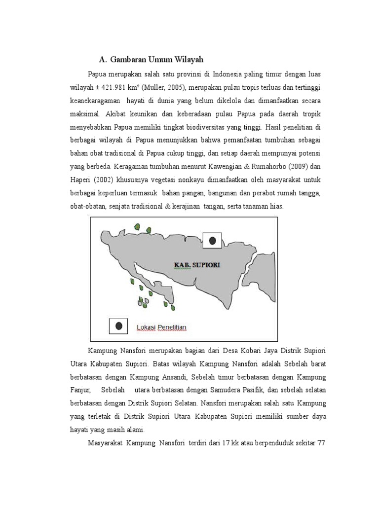 Gambaran Umum Wilayah | PDF